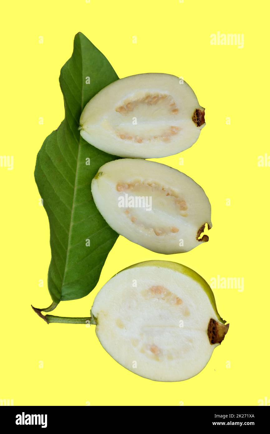 closeup the bunch ripe yellow white guava fruit sliced with green leaf ...