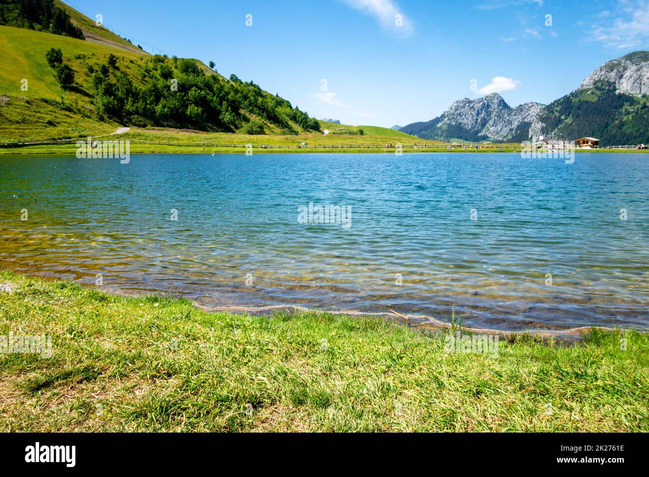 Le forest de la cour hi-res stock photography and images - Alamy