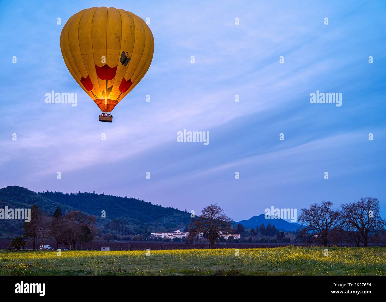 An early morning hot air balloon journey across Napa Valley, California ...