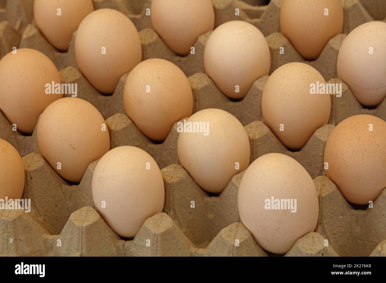 Close up view eggs in hi-res stock photography and images - Alamy