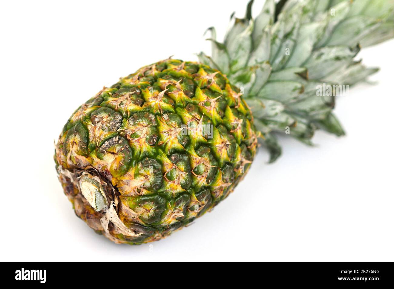 close-up pineapple standing on white background,whole pineapple fruit ...
