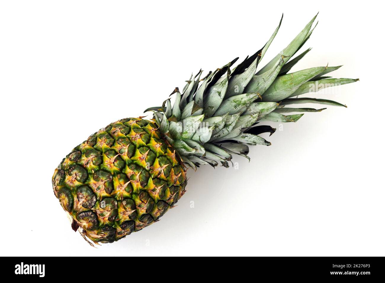 close-up pineapple standing on white background,whole pineapple fruit ...