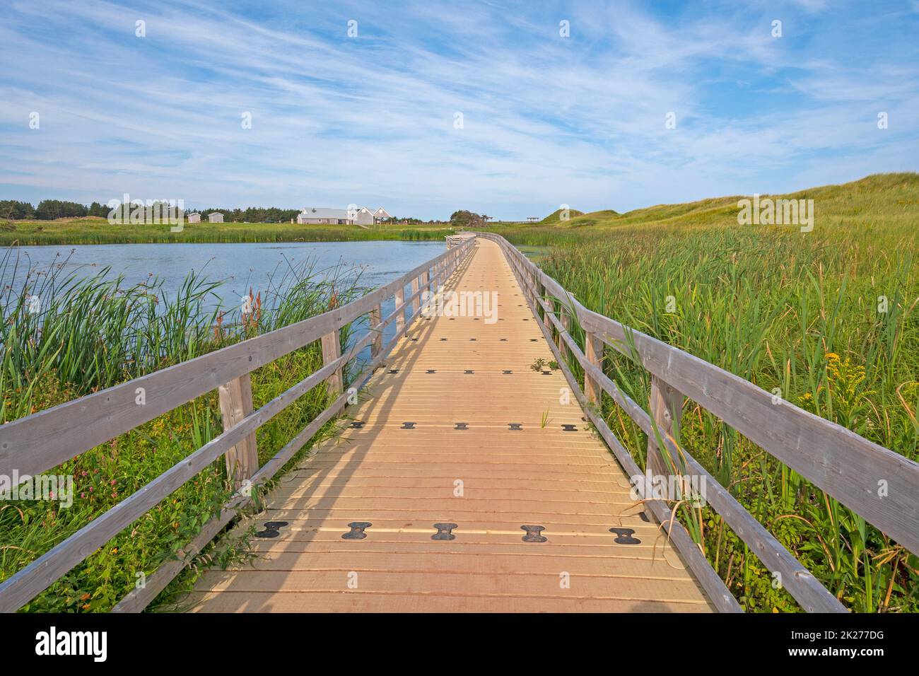 Wetland adventure hi-res stock photography and images - Alamy
