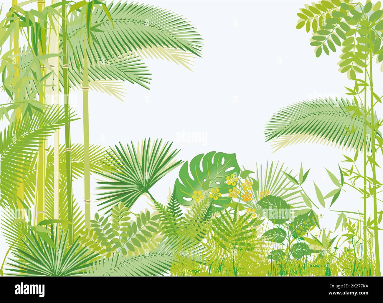 Tropical exotic jungle grass plants hi-res stock photography and images ...