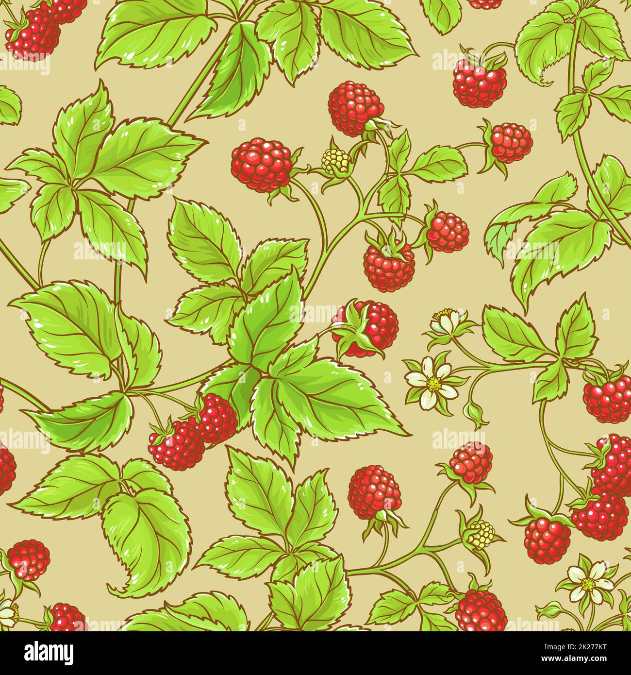 Raspberry vector hi-res stock photography and images - Alamy