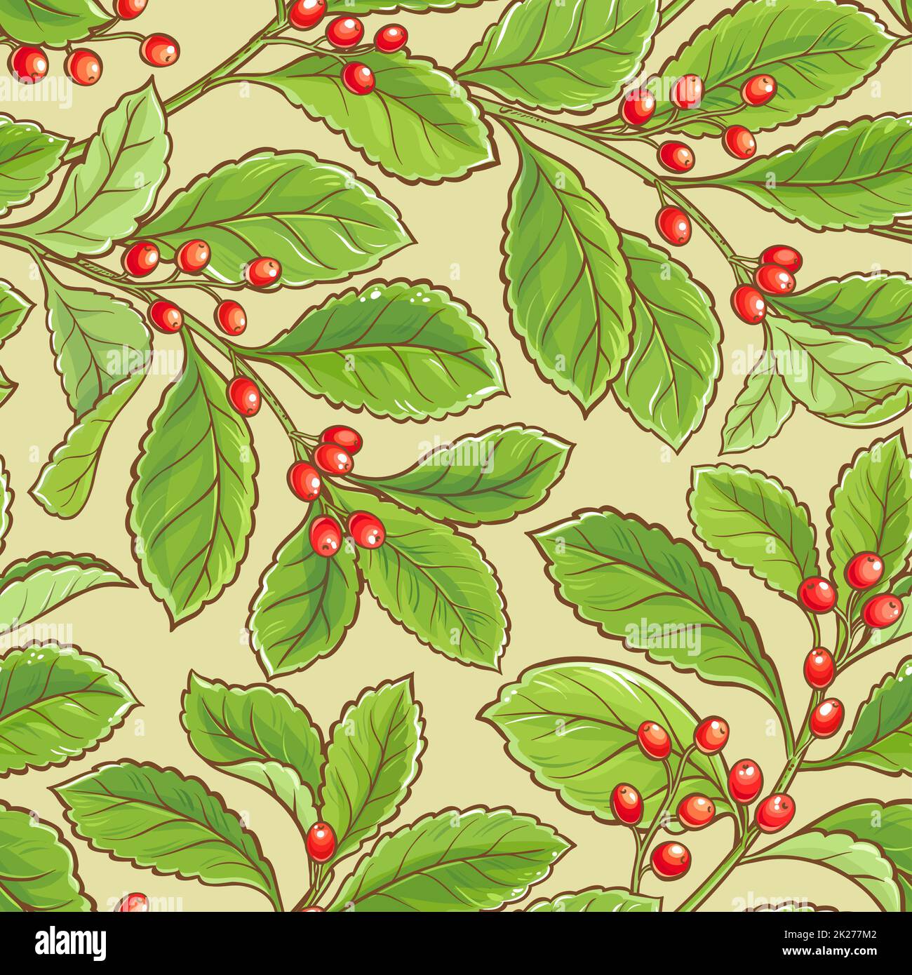 Yerba mate plant flower hi-res stock photography and images - Alamy