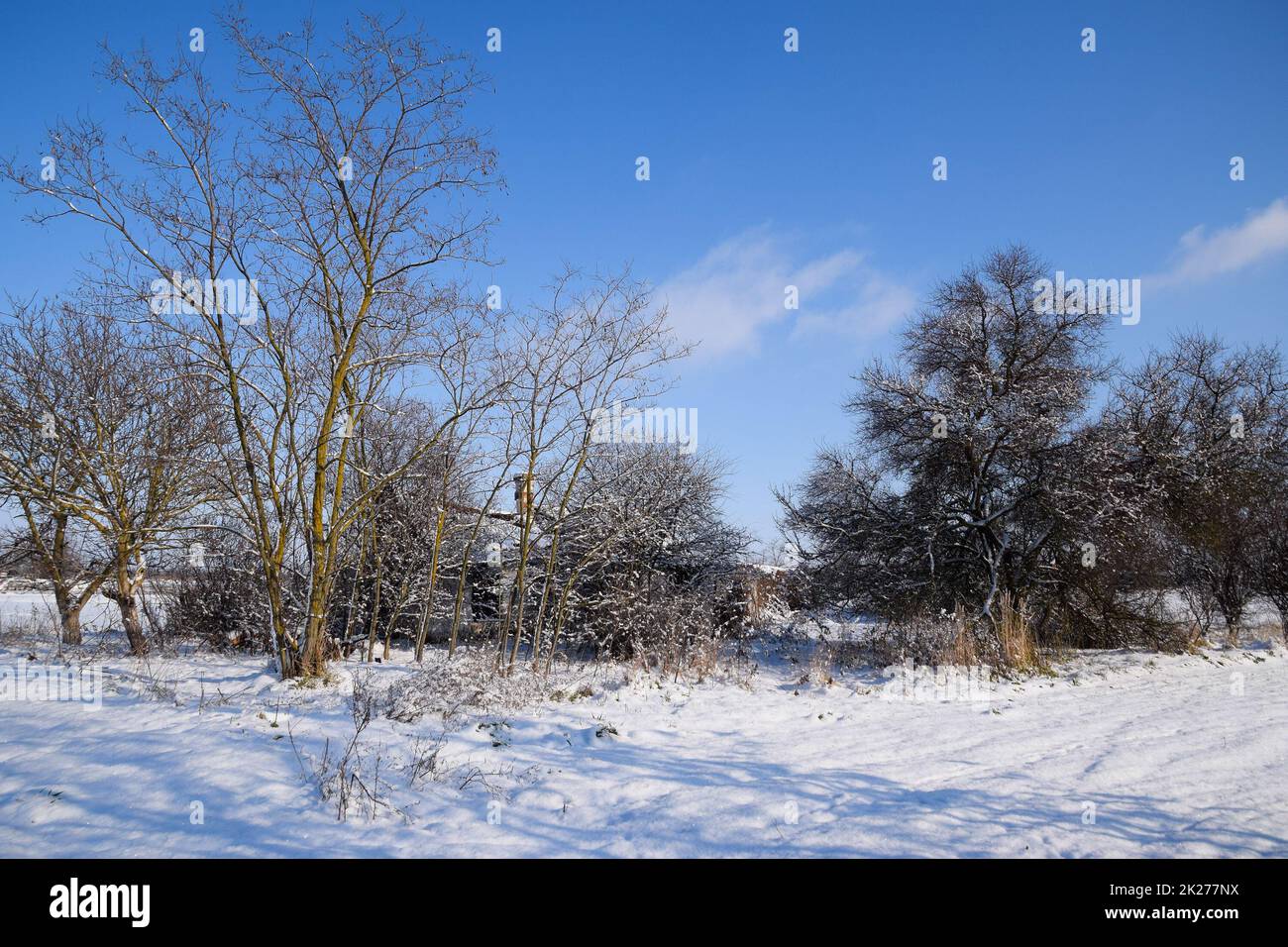 Village landscape house yard hi-res stock photography and images - Alamy