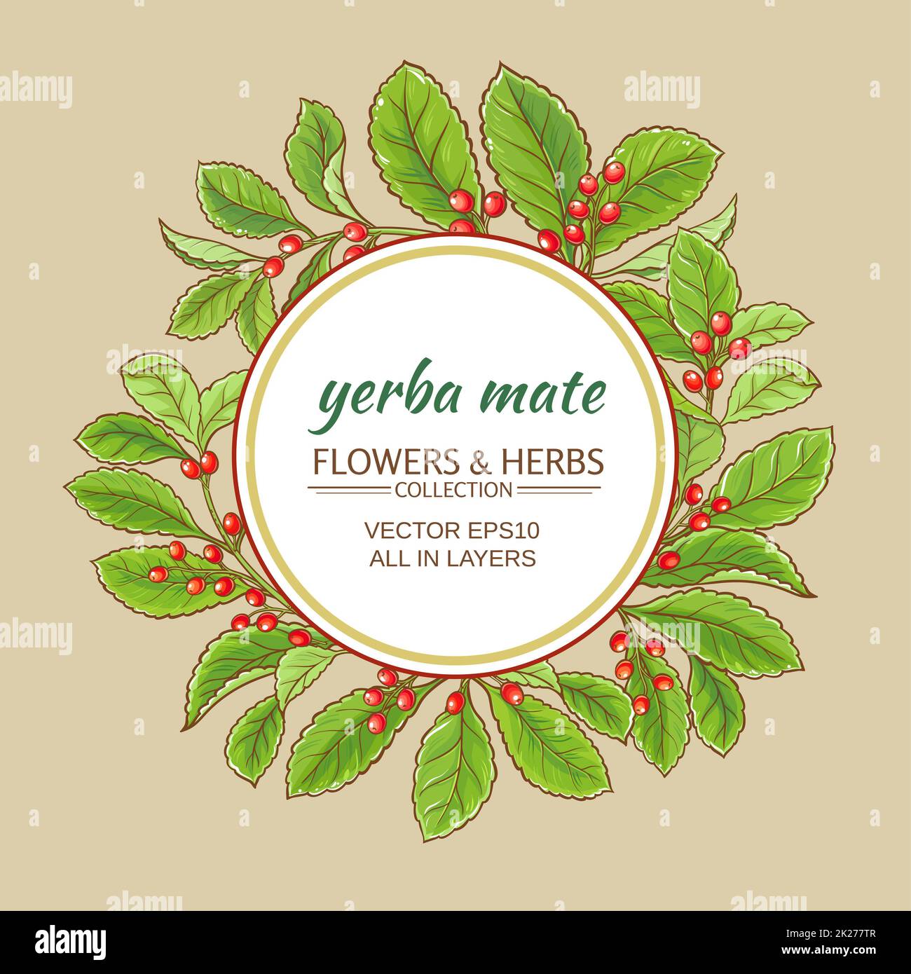 yerba mate frame Stock Photo - Alamy