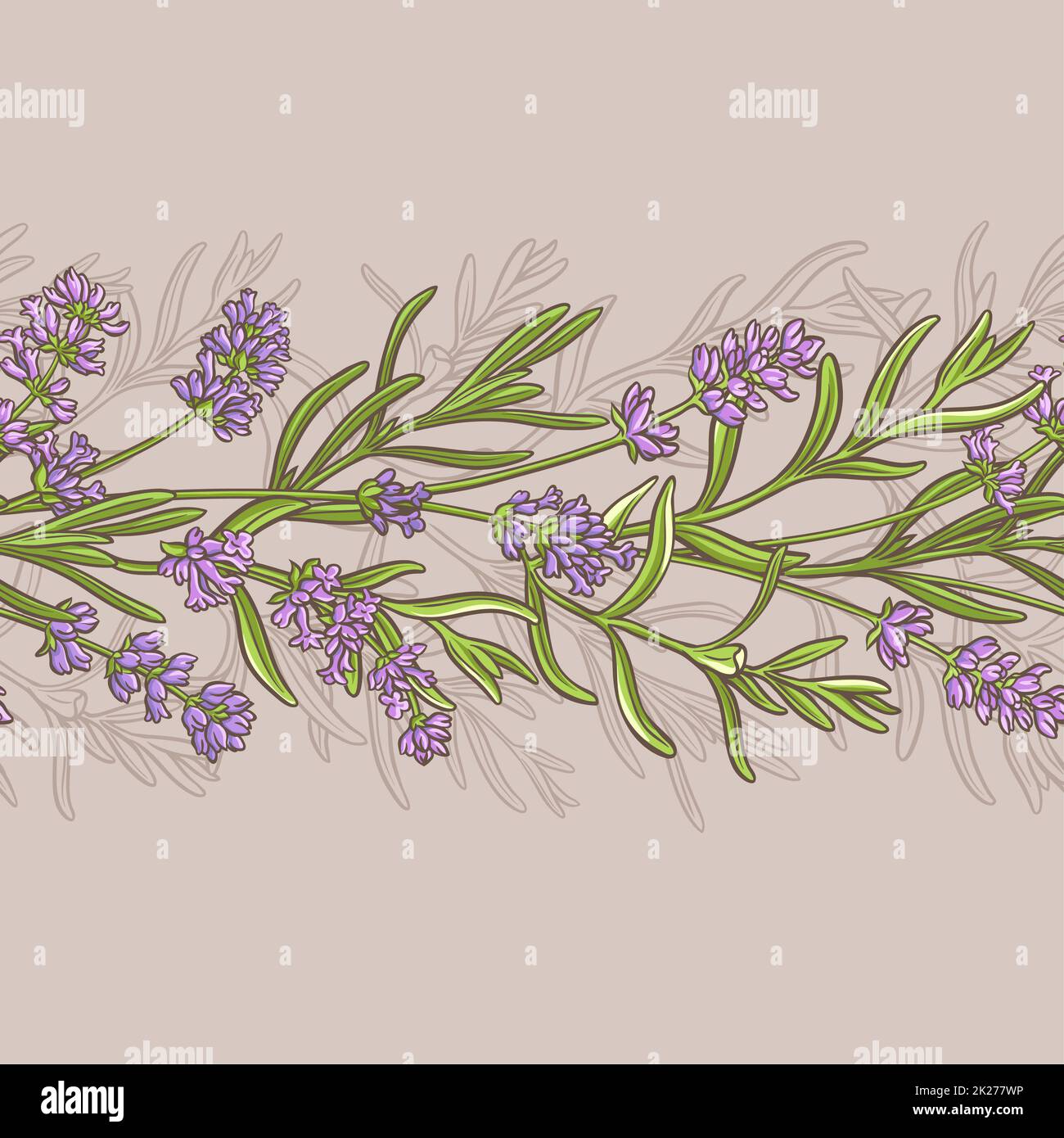 Lavender vector pattern hi-res stock photography and images - Alamy