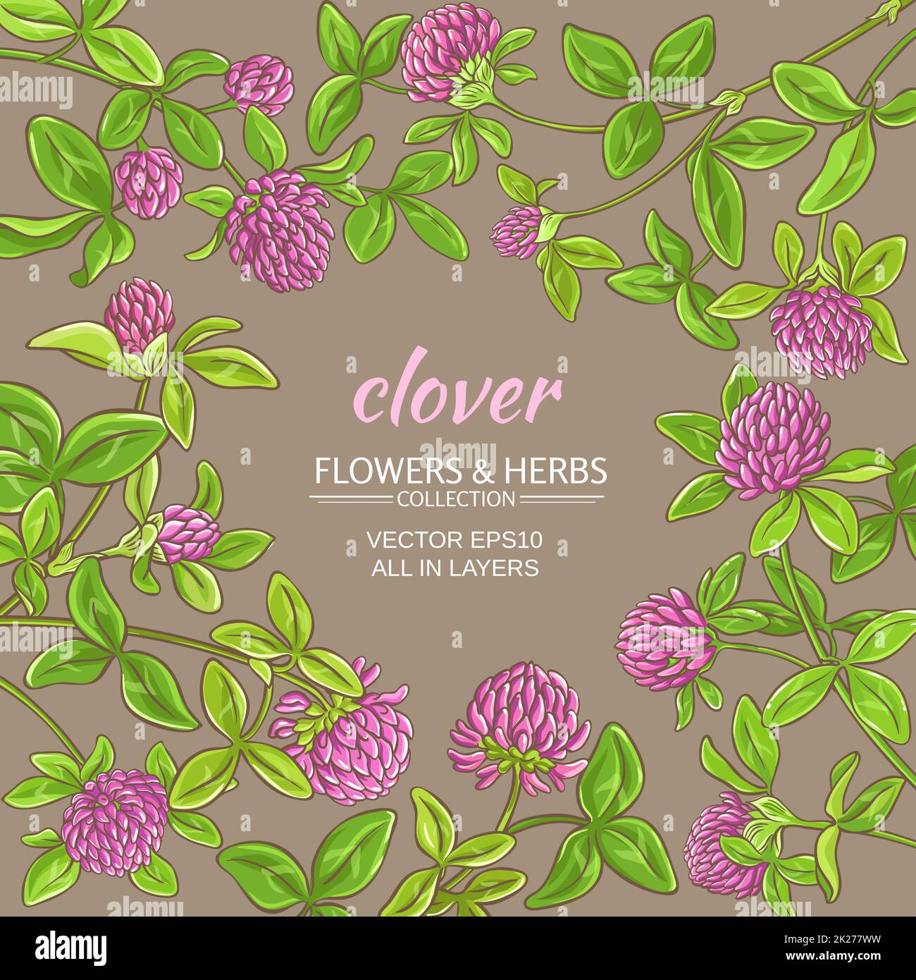 clover vector frame Stock Photo - Alamy