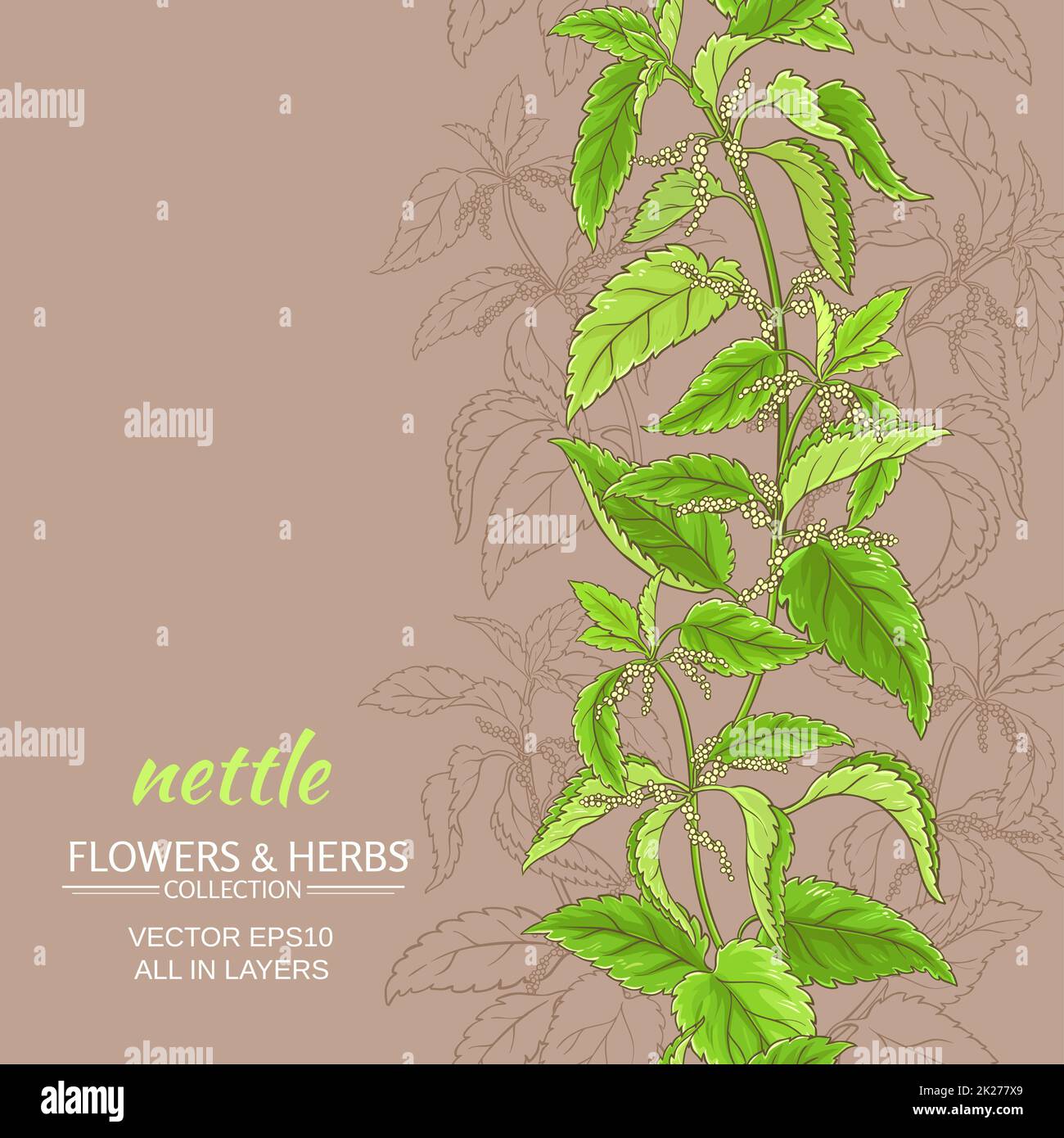 nettle vector background Stock Photo - Alamy