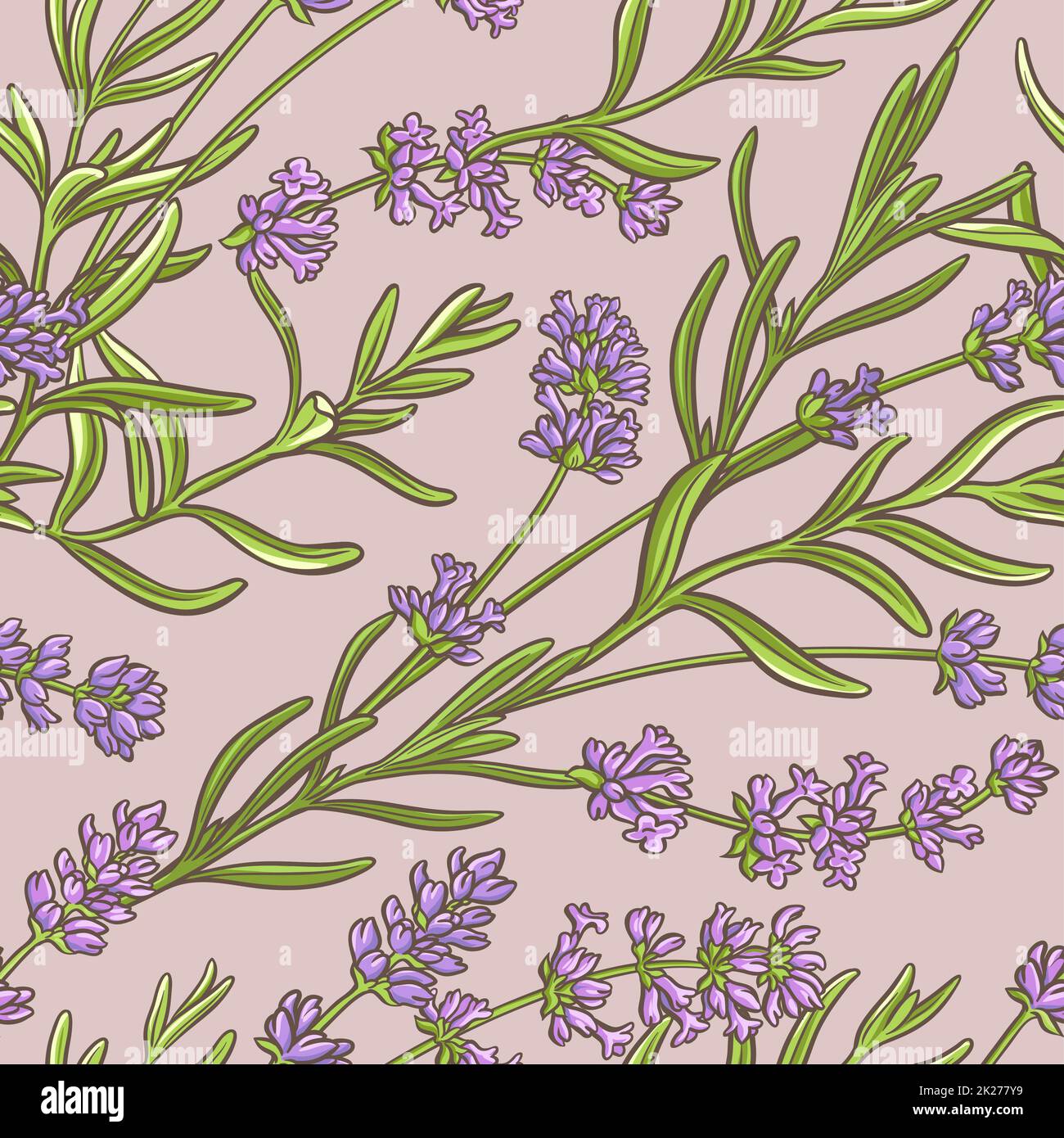 Lavender pattern hi-res stock photography and images - Alamy