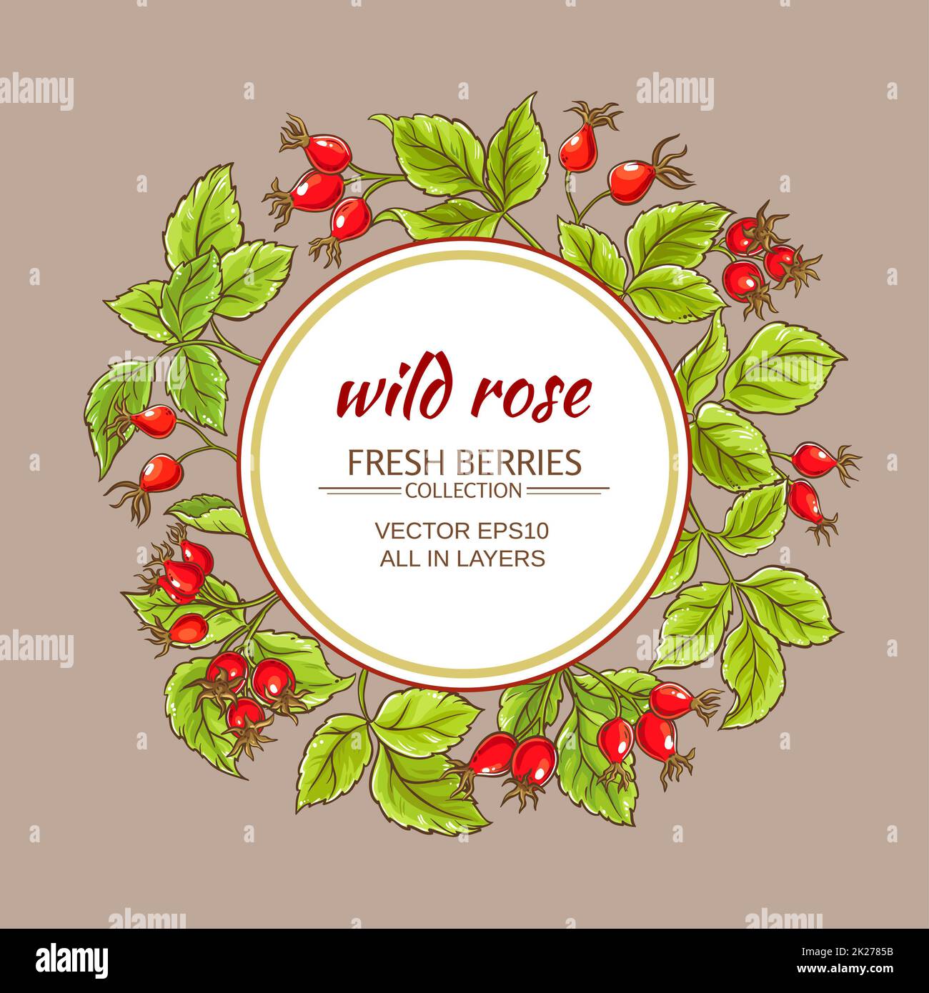 Rose vector hi-res stock photography and images - Alamy