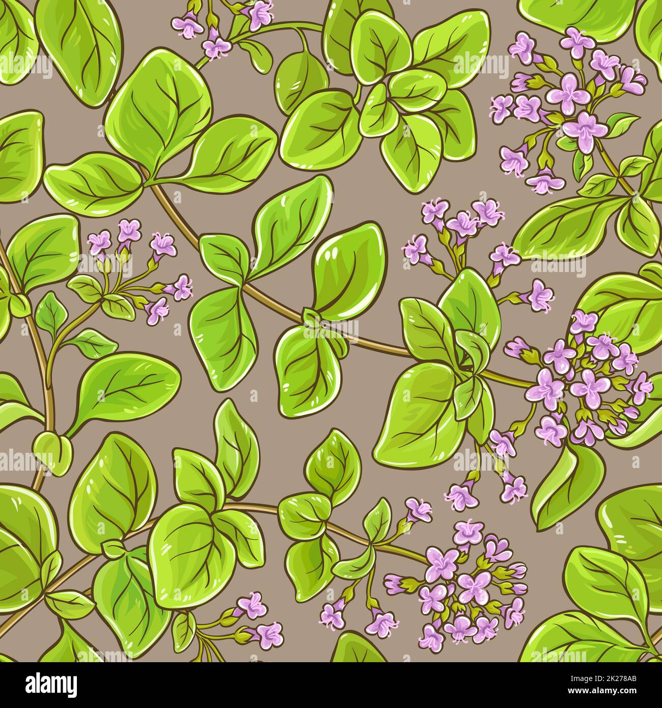 Oregano plant hi-res stock photography and images - Alamy