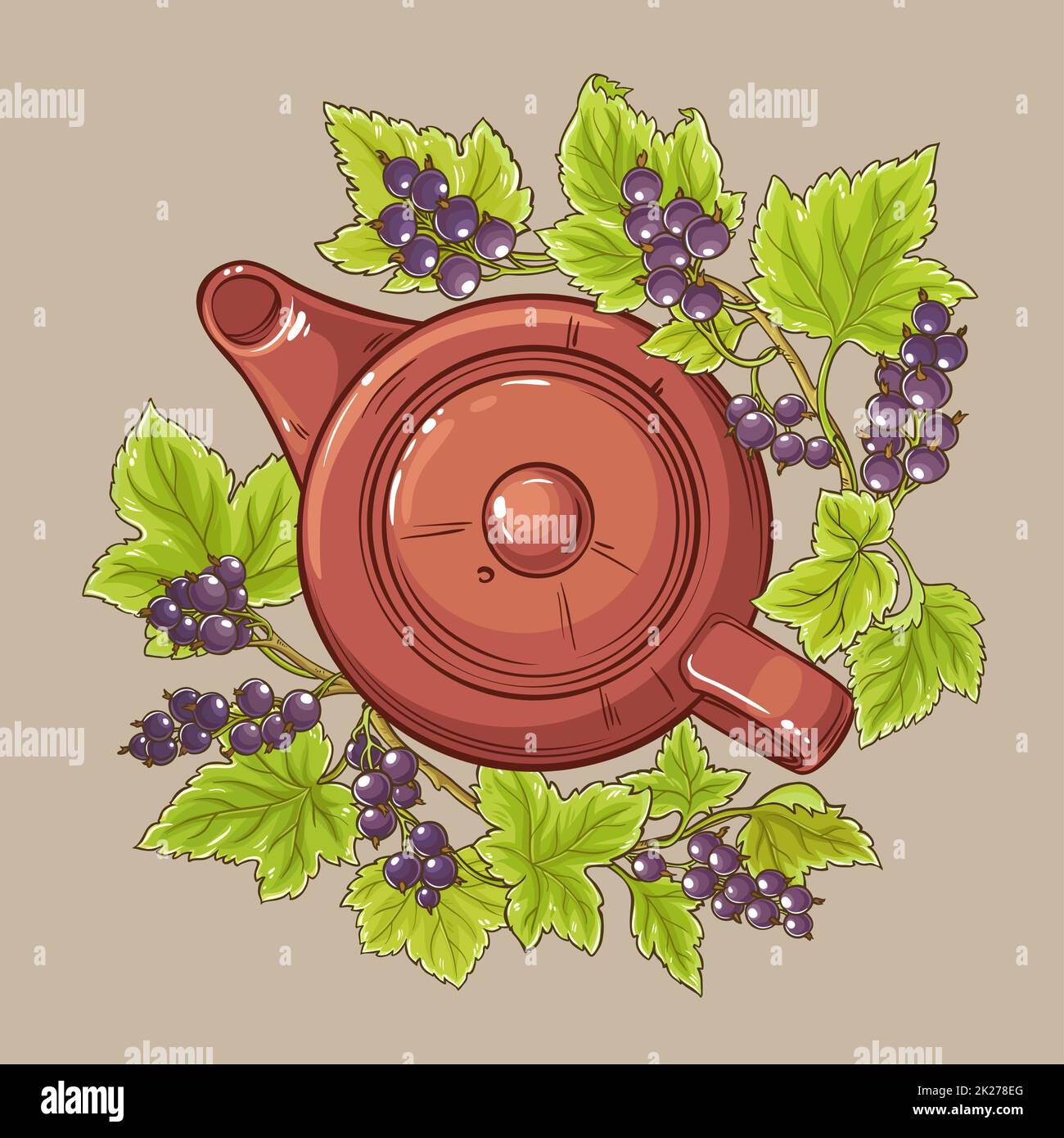 black currant tea in teapot Stock Photo - Alamy