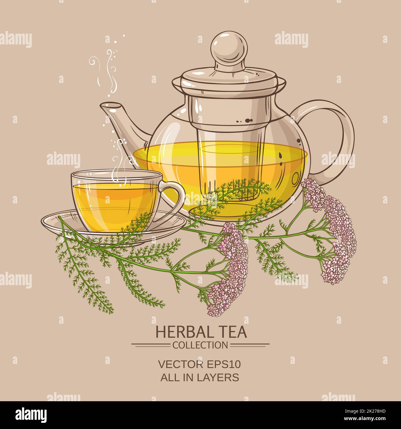 cup of yarrow tea and teapot Stock Photo - Alamy