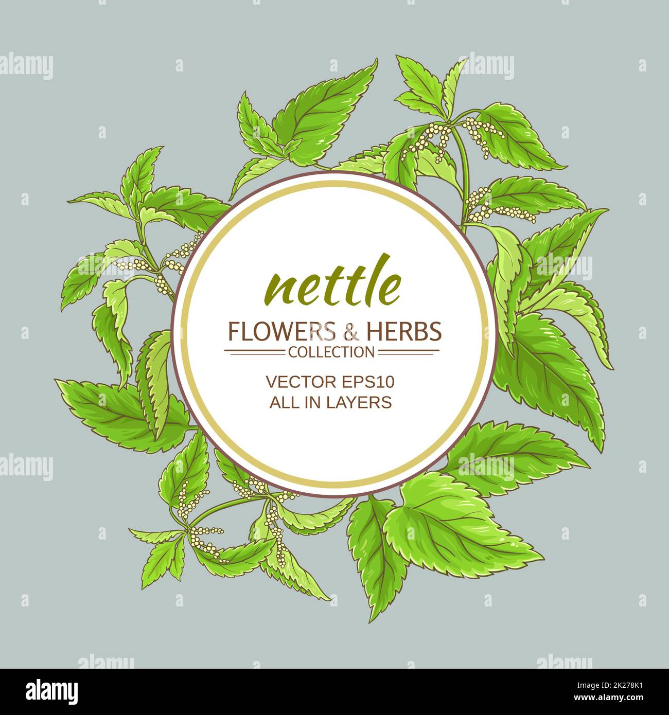 nettle vector frame Stock Photo - Alamy