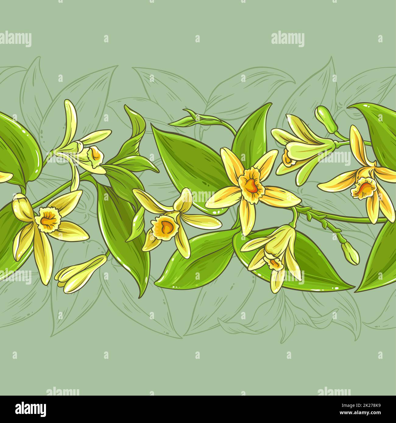 vanilla vector pattern Stock Photo - Alamy