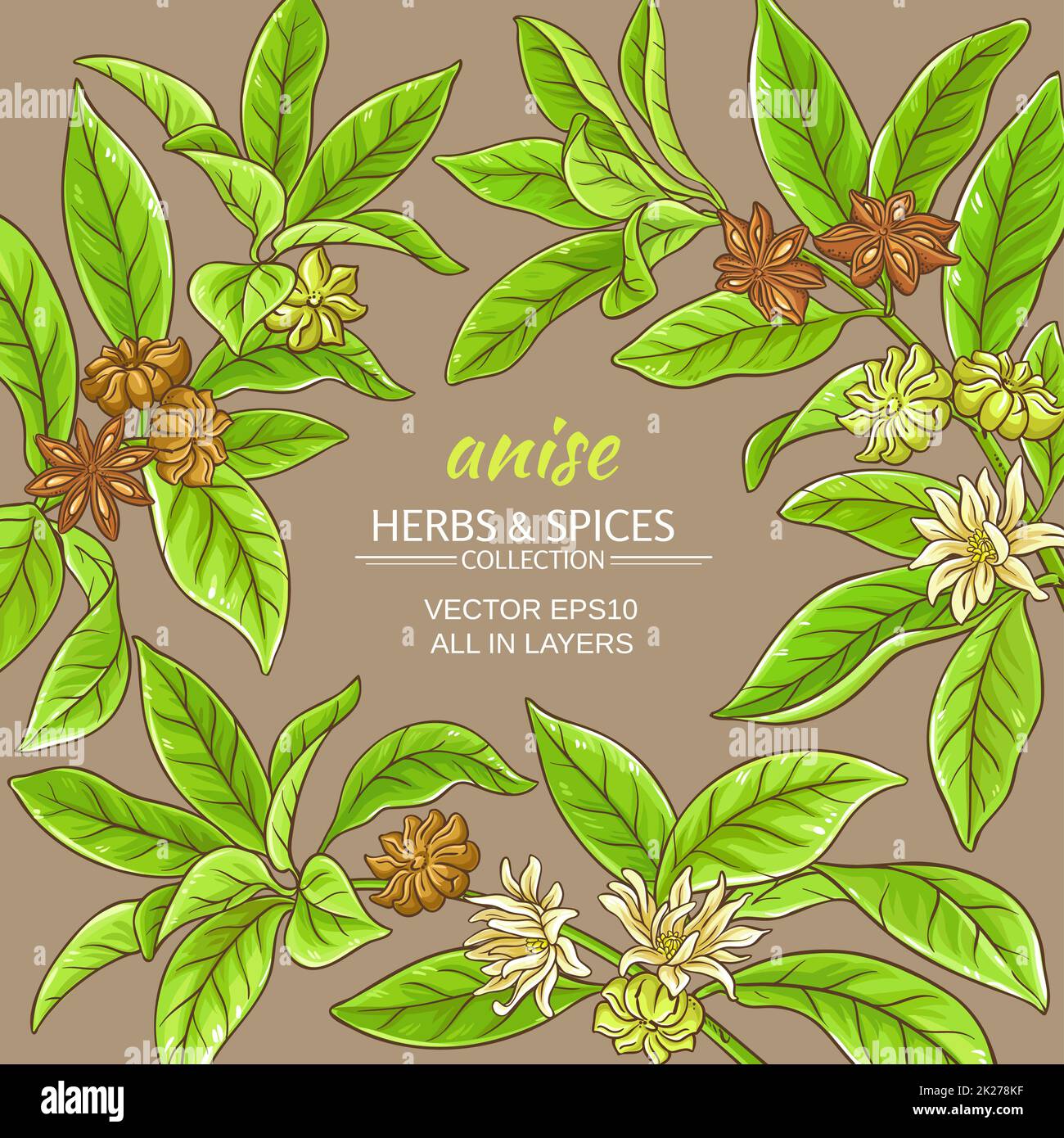 anise vector frame Stock Photo - Alamy
