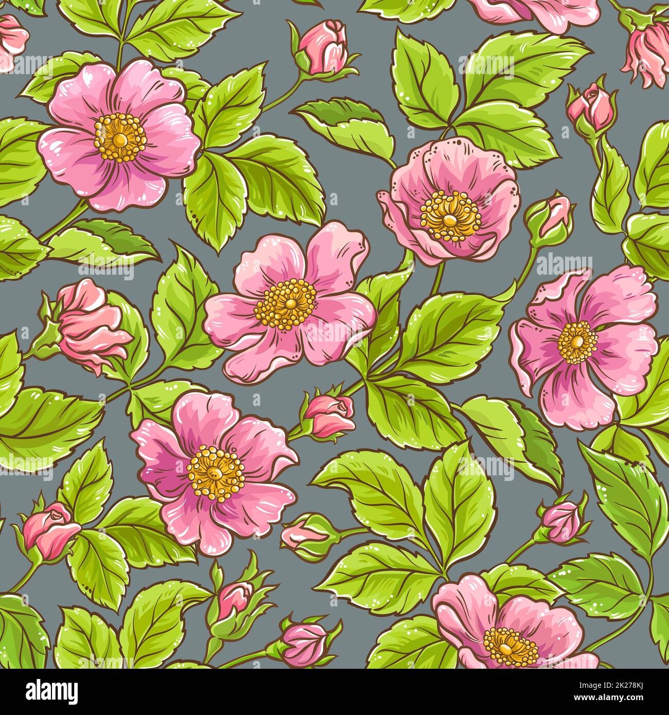 wild rose flowers pattern Stock Photo - Alamy