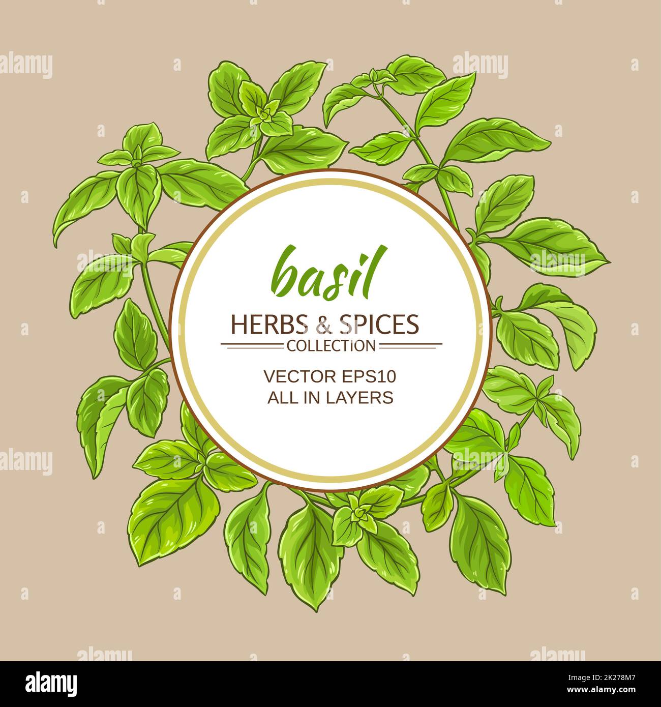 basil vector frame Stock Photo - Alamy