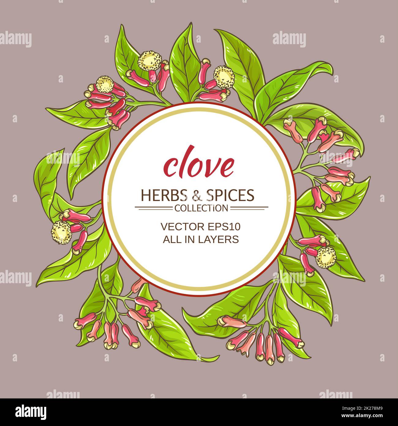 clove vector frame Stock Photo - Alamy