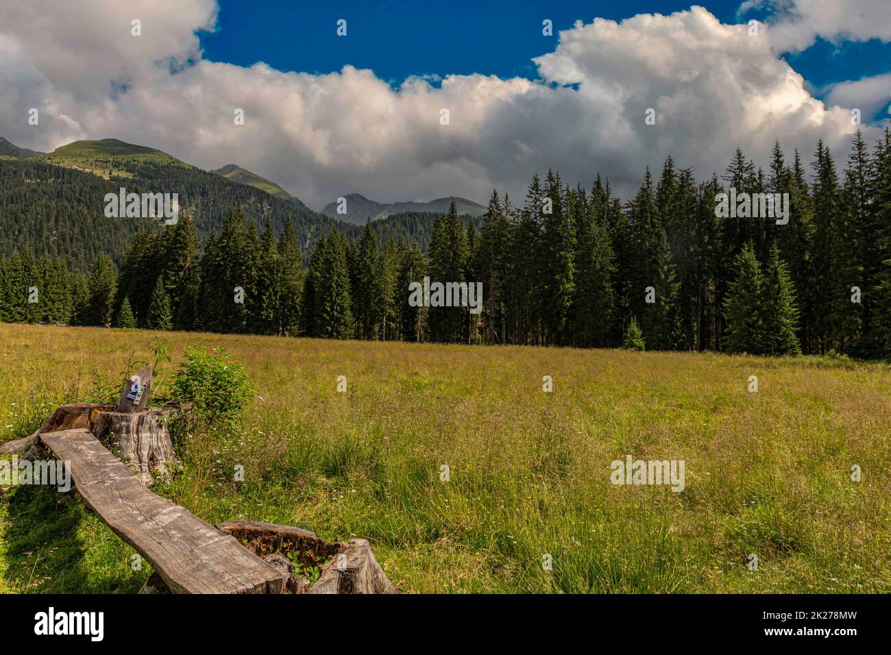 Typical alpine pastures Stock Photo - Alamy