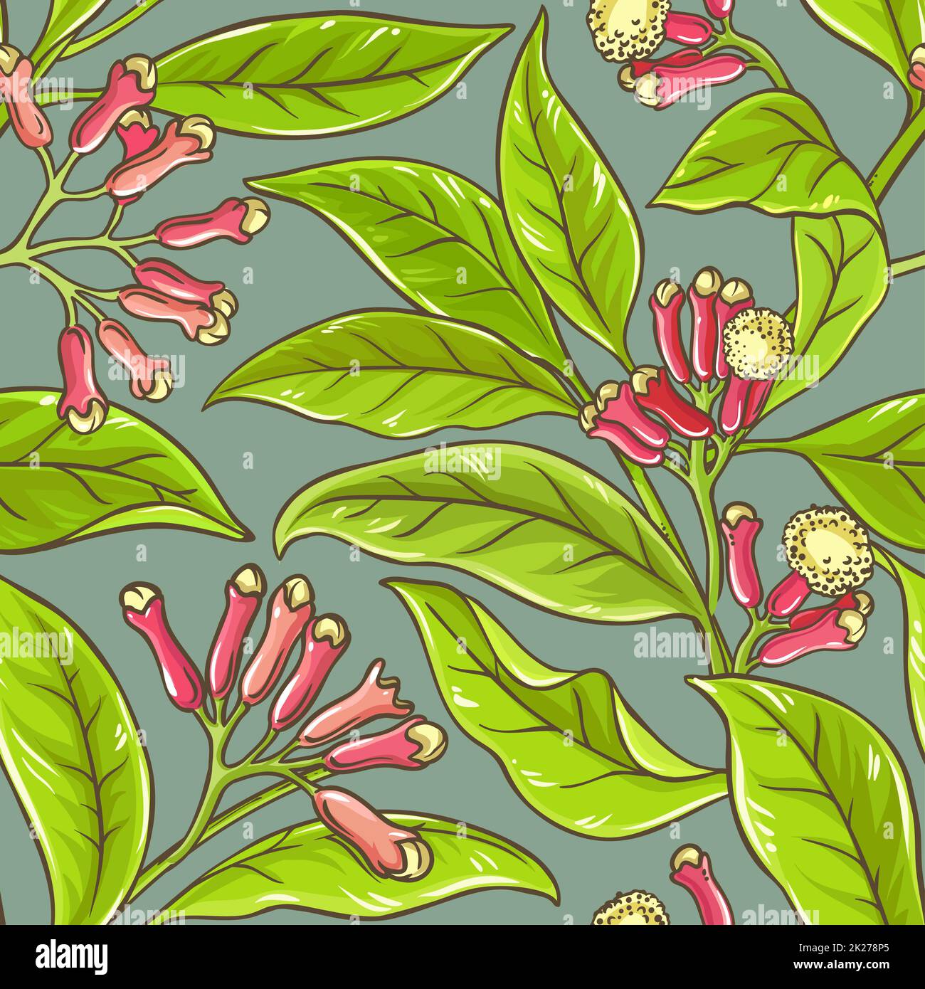 clove vector pattern Stock Photo - Alamy