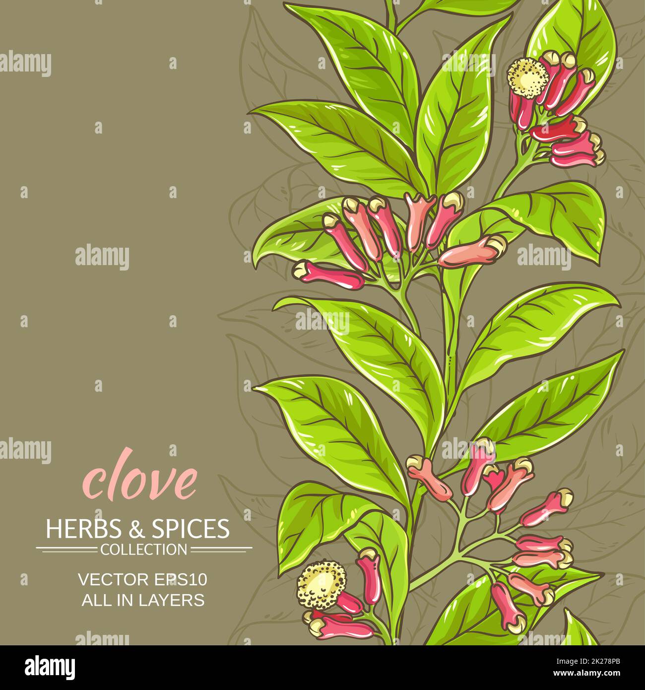 clove vector background Stock Photo - Alamy