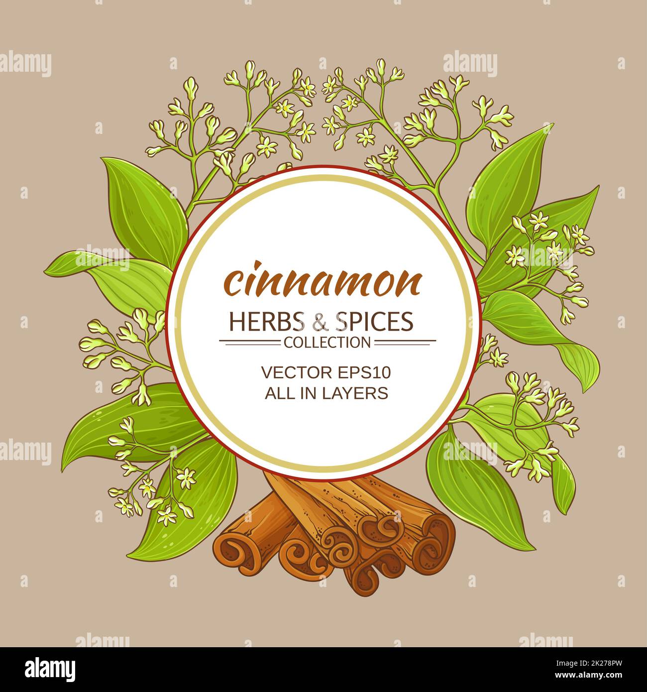 Cinnamon circle hi-res stock photography and images - Alamy