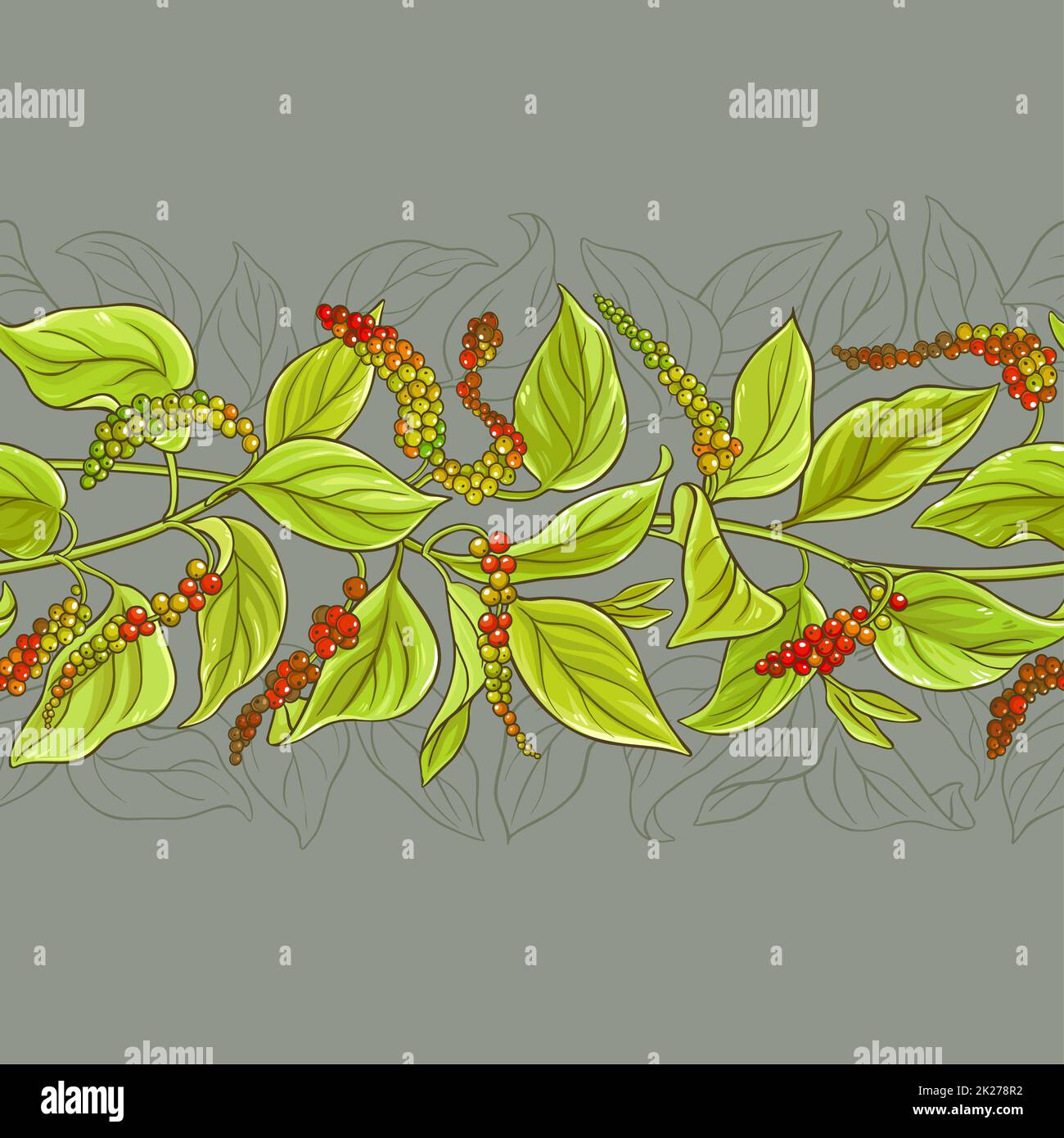 Black pepper vector hi-res stock photography and images - Alamy