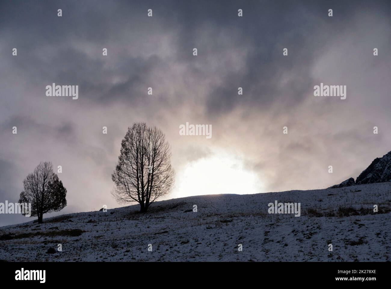 Winter sun behind trees hi-res stock photography and images - Alamy