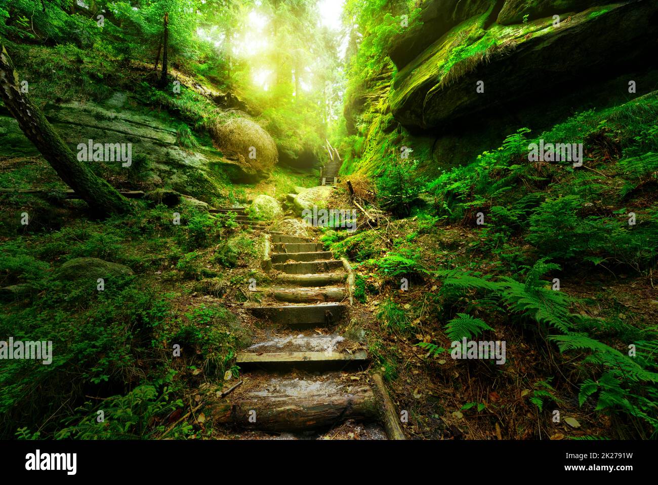path into sunlight towards hilltop rocks both sides sunlit stairs saxon ...