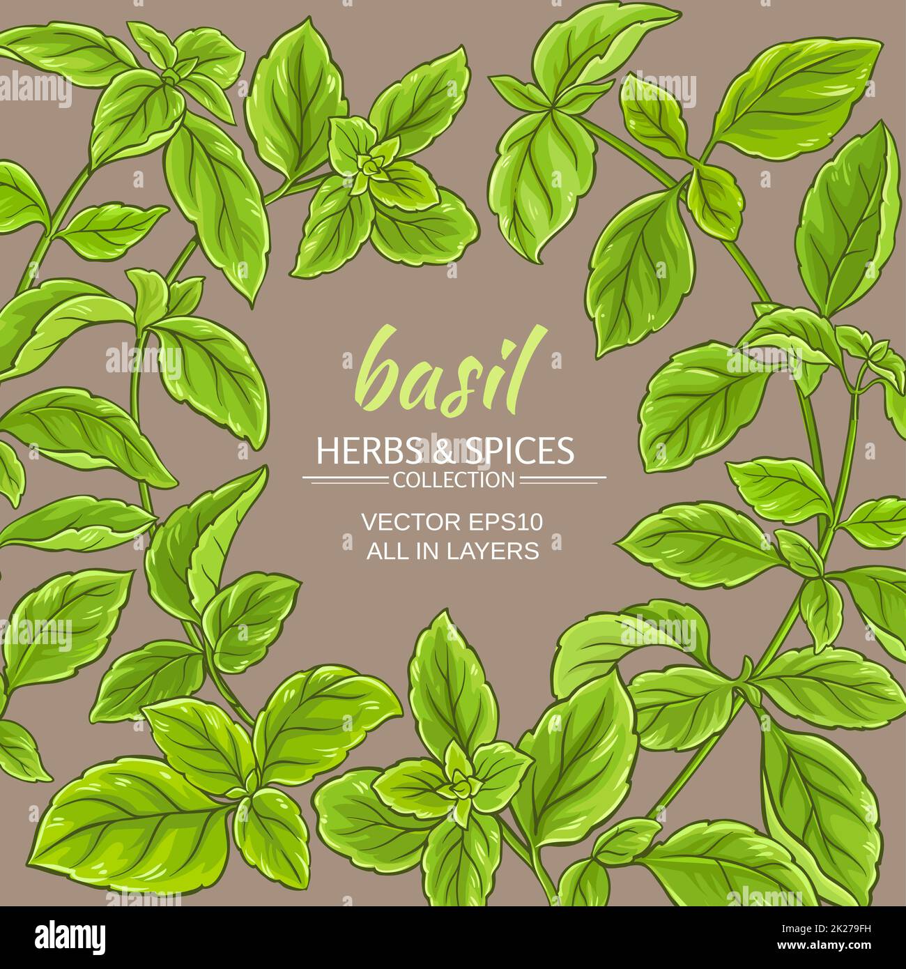 basil vector frame Stock Photo - Alamy