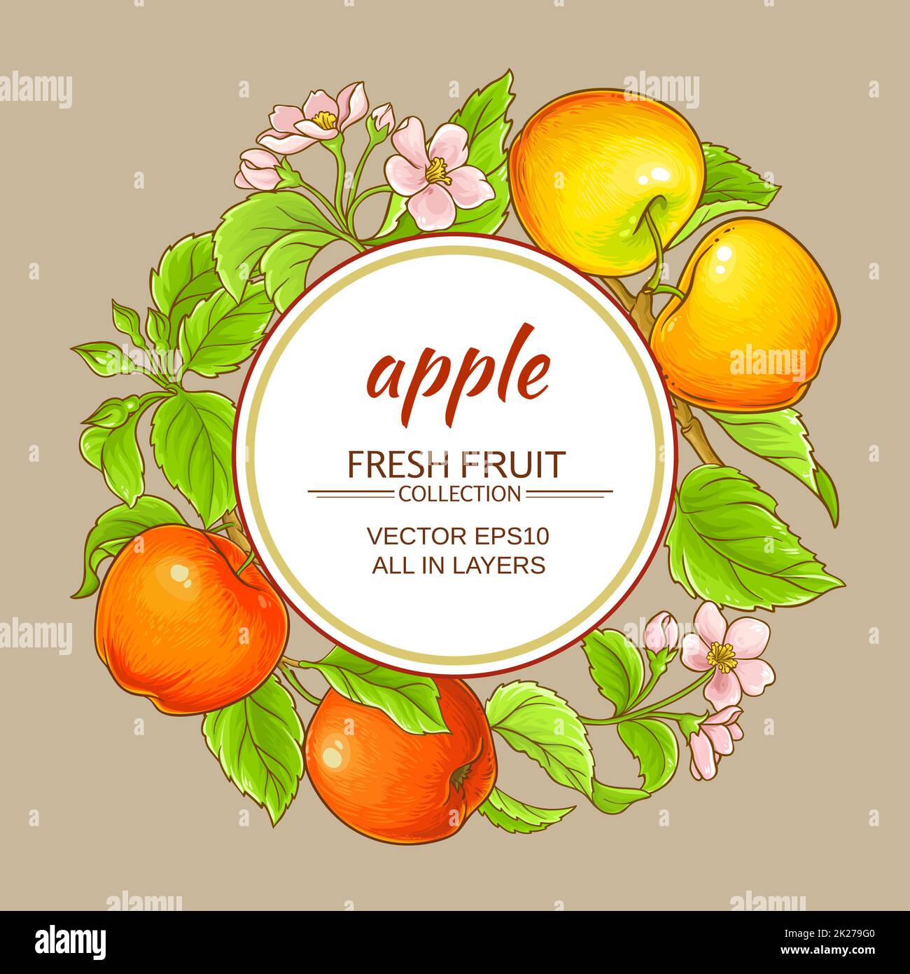 apple vector frame Stock Photo - Alamy