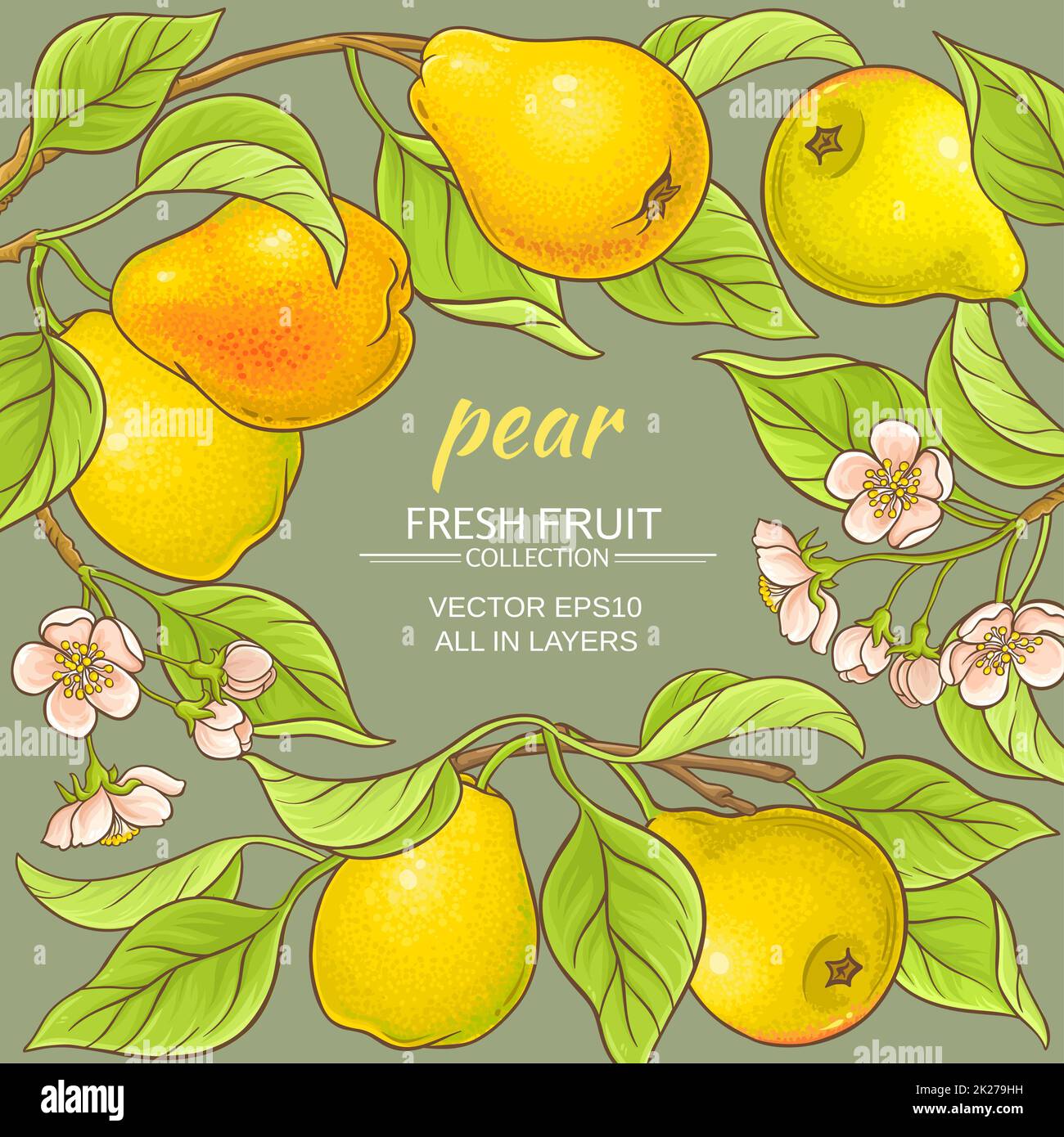 Vector pear hi-res stock photography and images - Alamy
