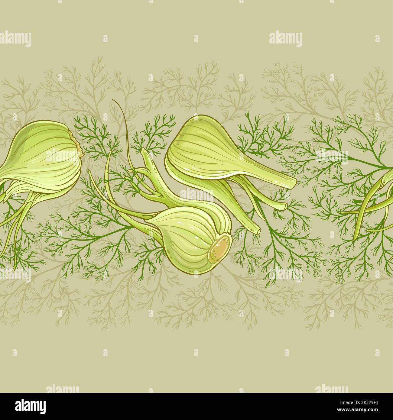 Fennel vector hi-res stock photography and images - Alamy