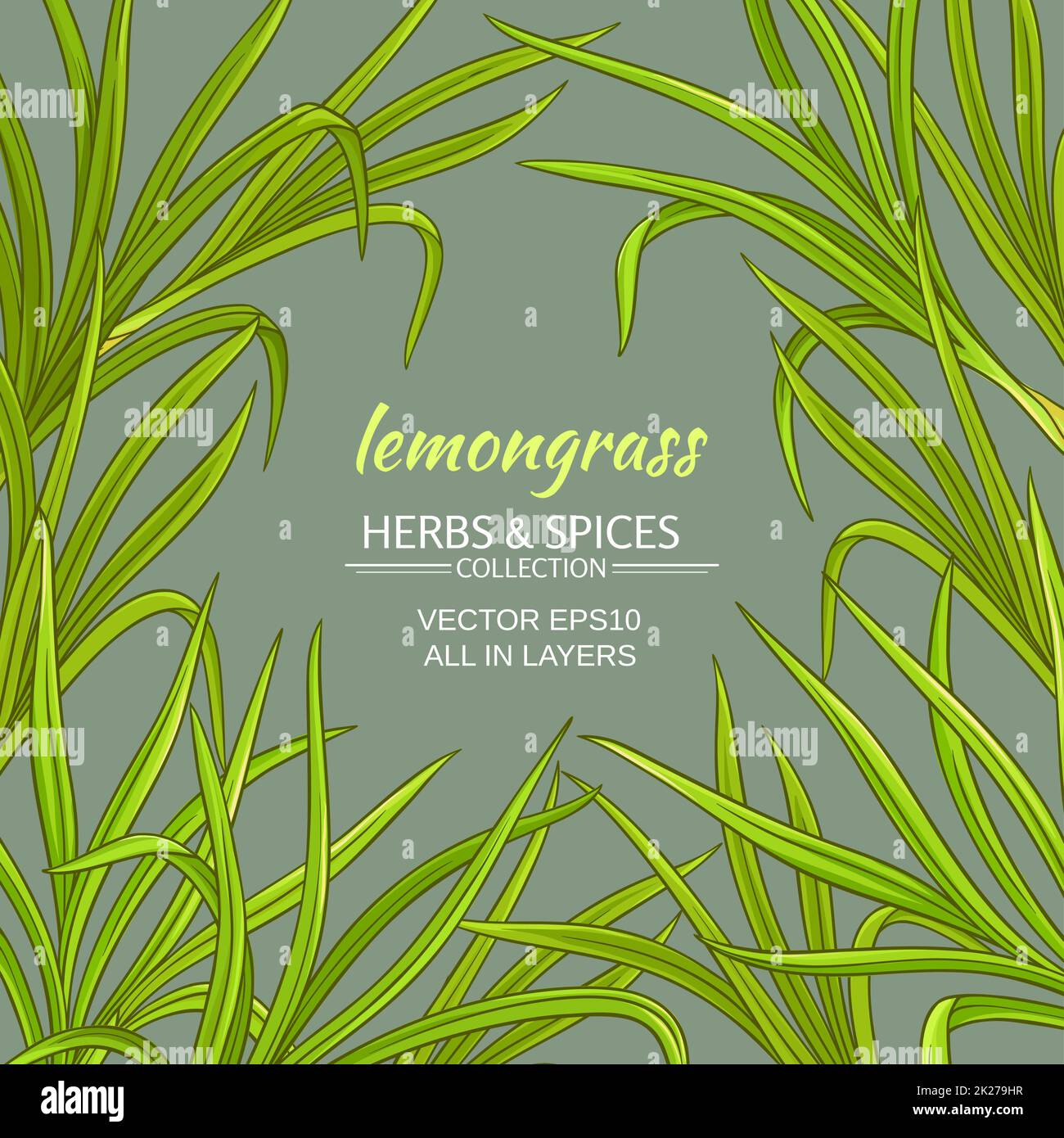 lemongrass vector frame Stock Photo - Alamy
