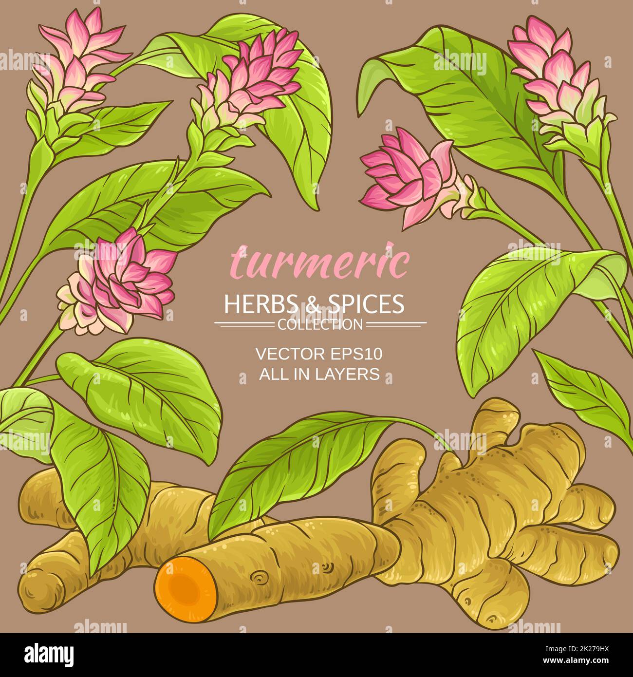turmeric vector frame Stock Photo - Alamy