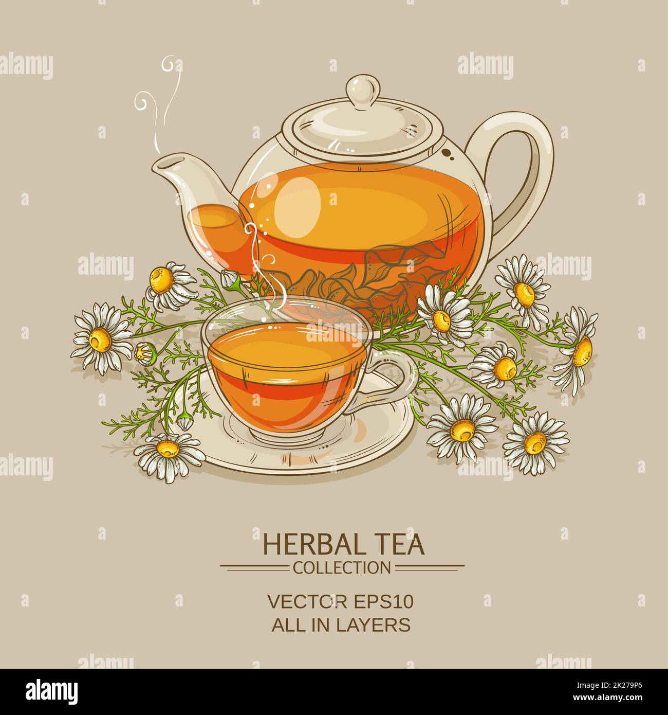Chamomile illustration hi-res stock photography and images - Alamy