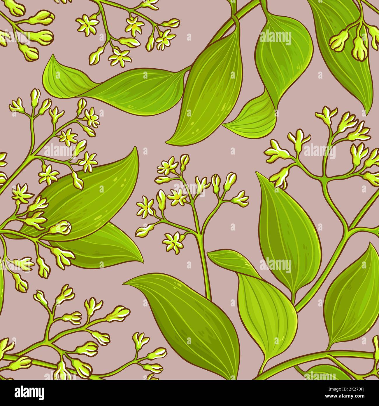 cinnamon vector pattern Stock Photo - Alamy