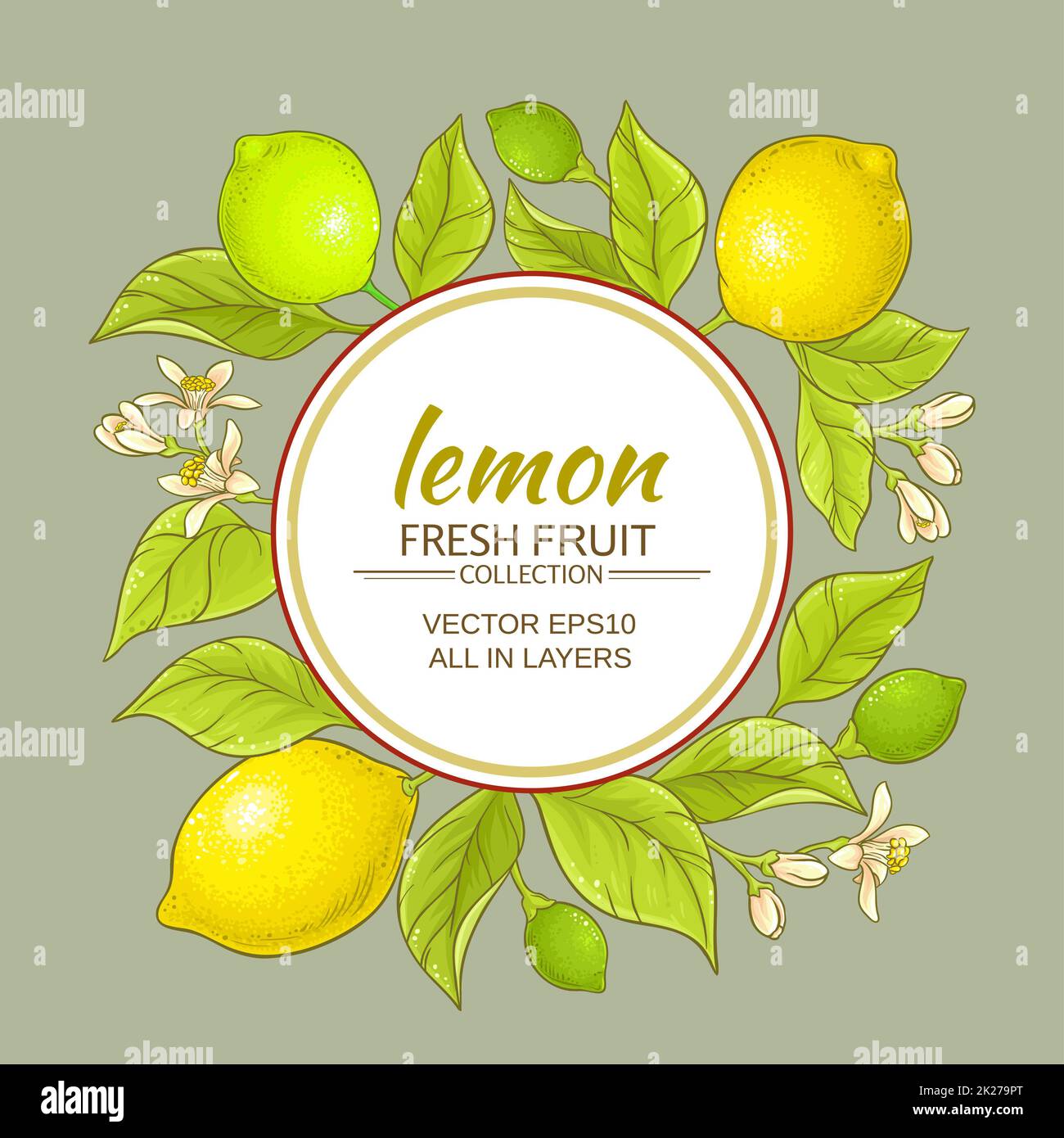 lemon vector frame Stock Photo - Alamy