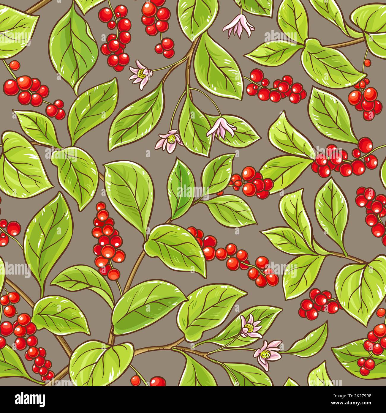 Schisandra china hi-res stock photography and images - Alamy