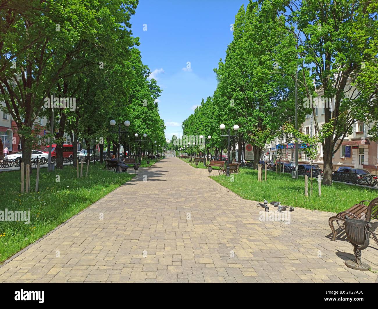 beautiful park with nice promenade path and big green trees Stock Photo ...