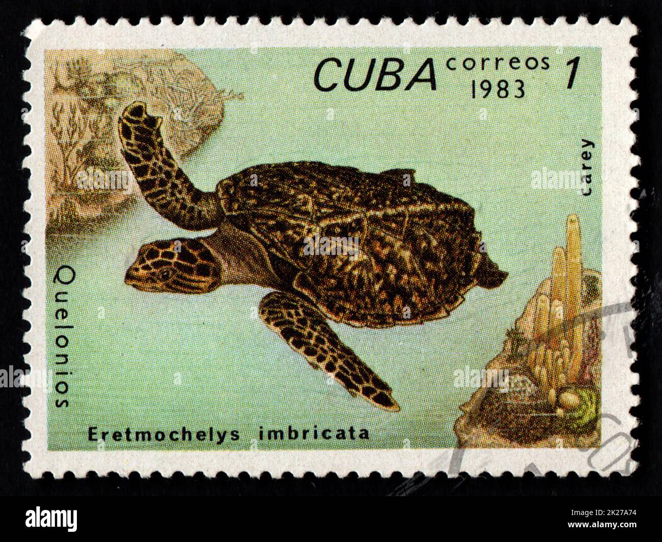 Cuban postage stamp featuring sea turtle. Ancient reptile Stock Photo ...