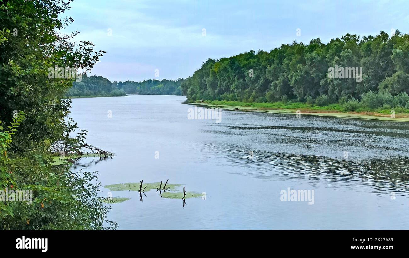 River willows hi-res stock photography and images - Alamy