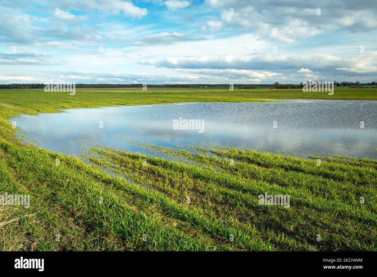 Water puddle after rain hi-res stock photography and images - Alamy