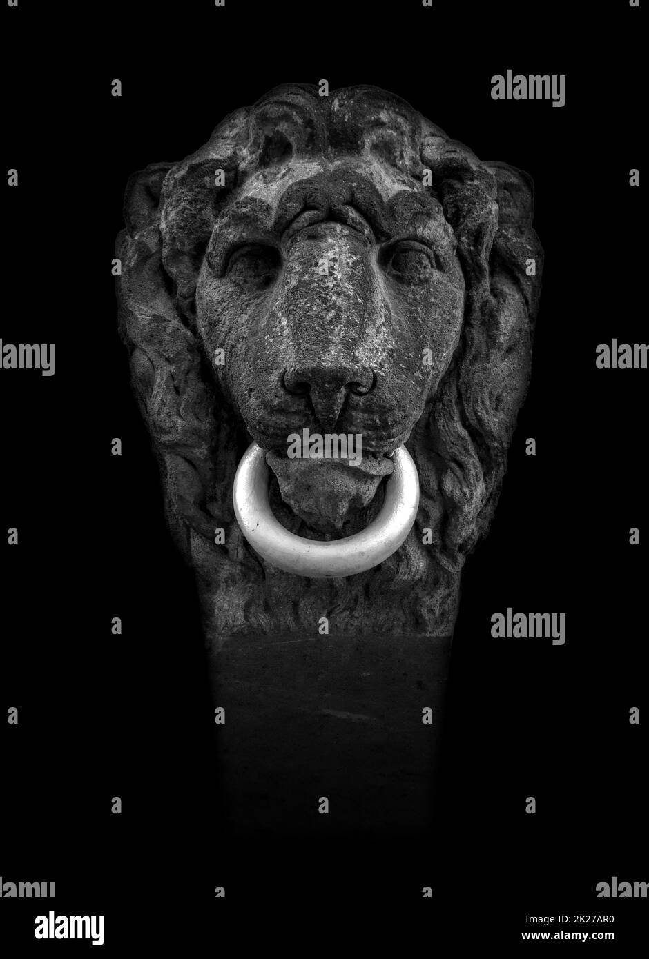 Lion head hi-res stock photography and images - Alamy