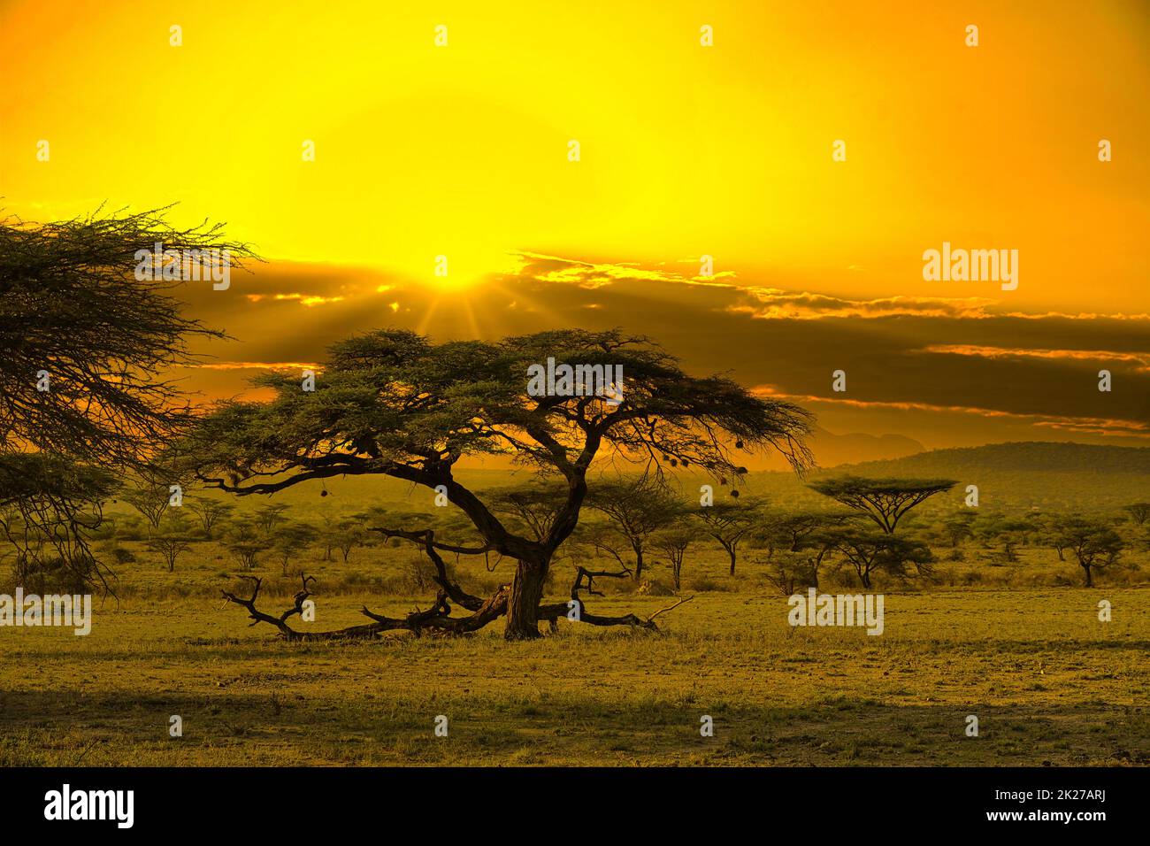 Sunset and sunrise in the Tsavo East and Tsavo West National Park in ...