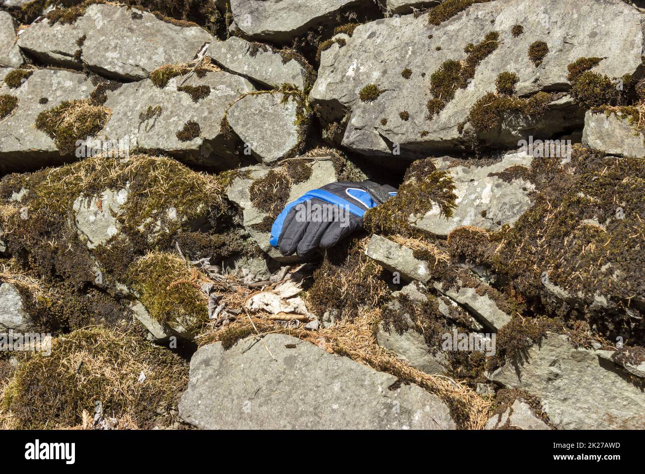 Forgotten ski glove on a stone in the mountains Stock Photo - Alamy